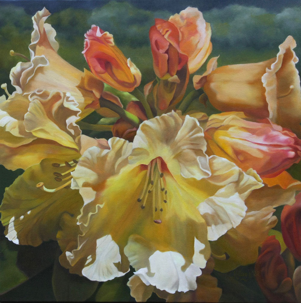 Original Paintings by Hilary Eddy – Prentice Gallery