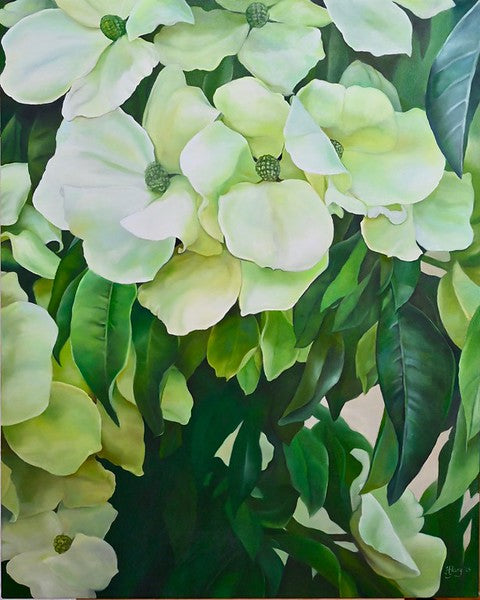 Dogwood Days | Hilary Eddy | Prentice Gallery | Mendocino