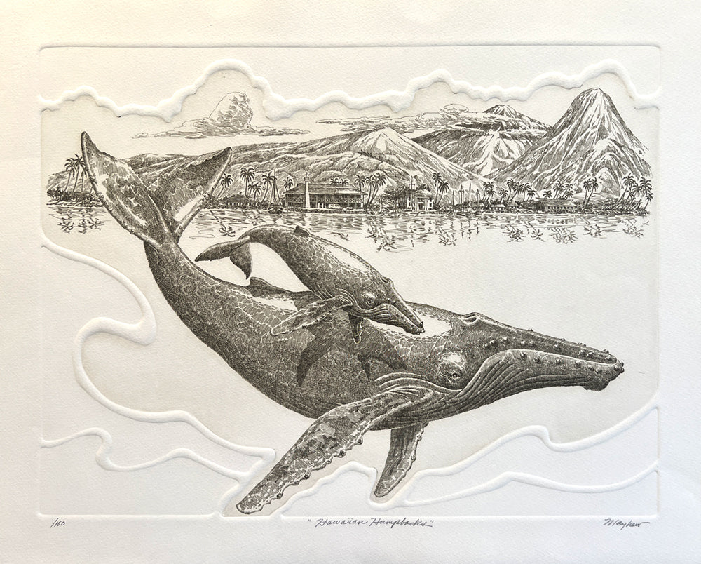 "Hawaiian Humpbacks" – Prentice Gallery