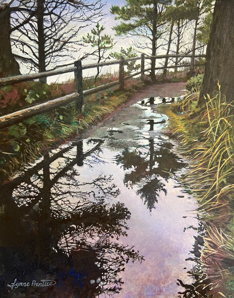 Mendocino | Lynne Prentice | Prentice Gallery | Rainy day Reflections