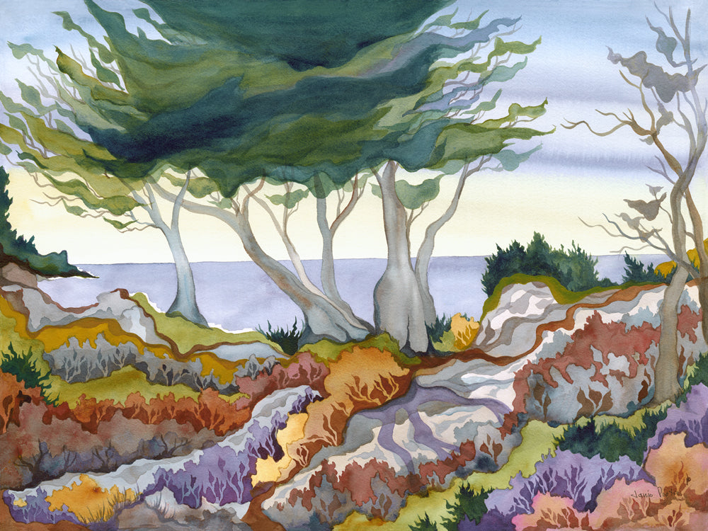 Cypress | Janis Porter | Prentice Gallery | Artist | Mendocino
