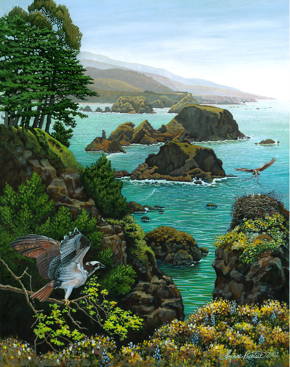 Mendocino | Lynne Prentice | Prentice Gallery | Room with a View