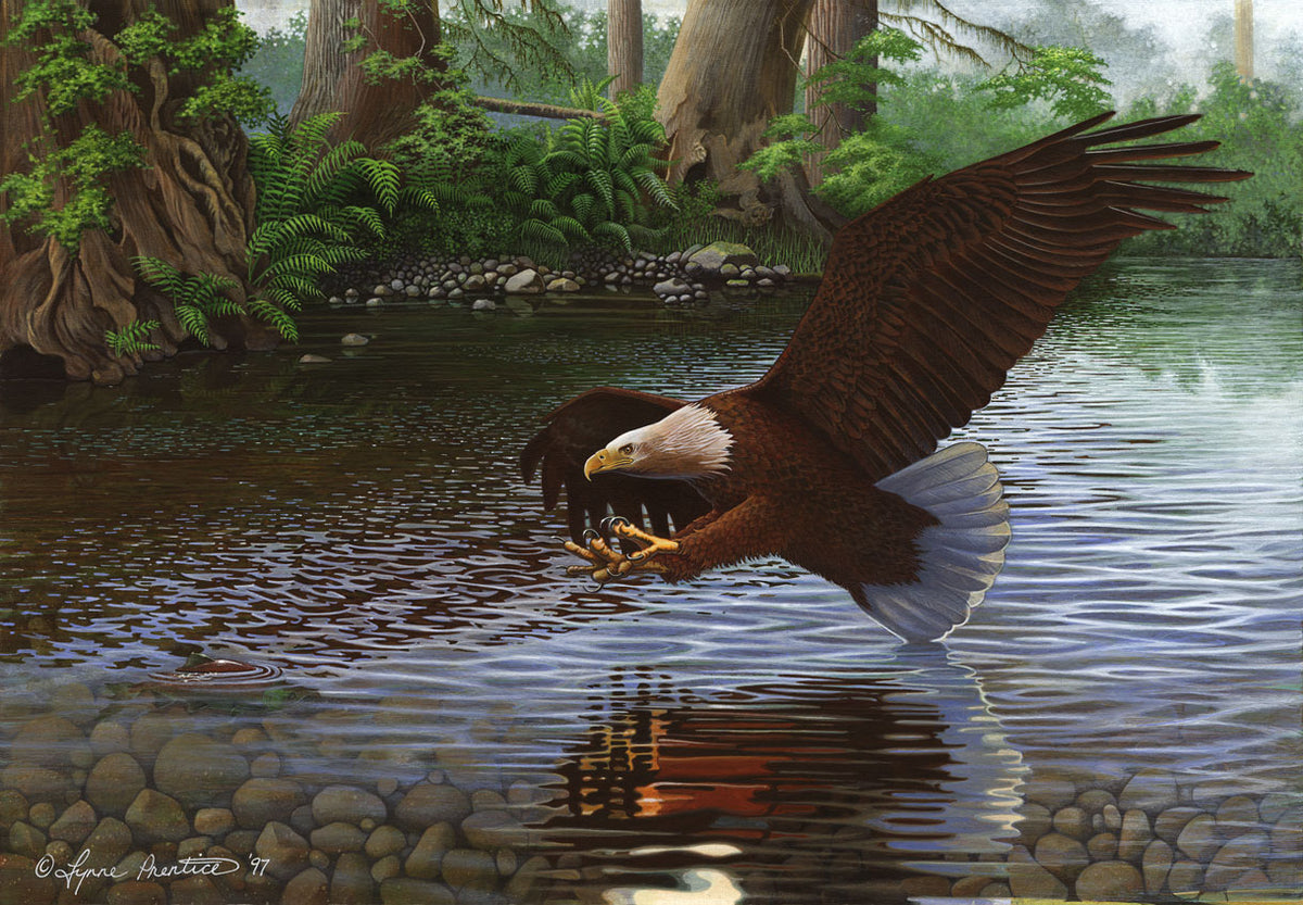 Wind over Water | Lynne Prentice | Artist | Prentice Gallery | Eagle