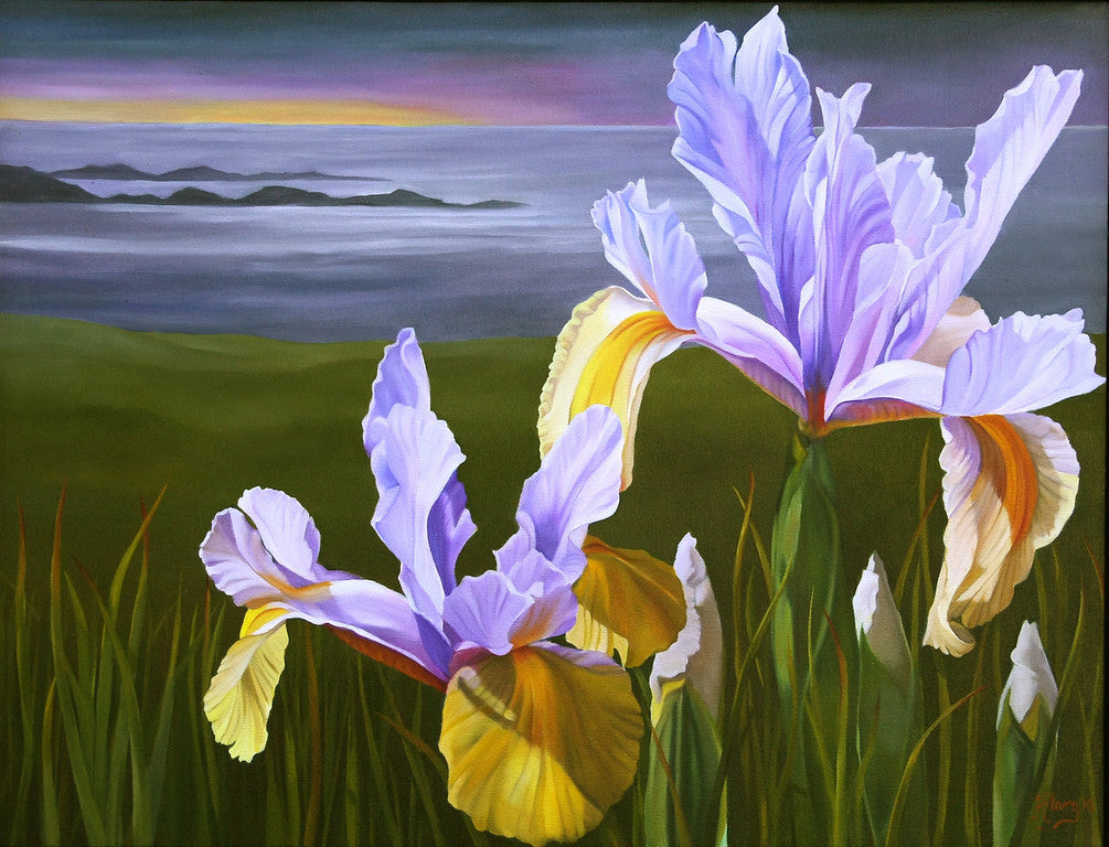 Last Light | Hilary Eddy | Prentice Gallery | Mendocino