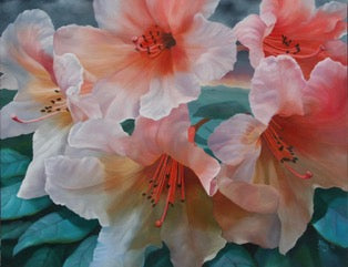 Hilary Eddy | Marshmallow | Prentice Gallery | Painter | Mendocino | Artist